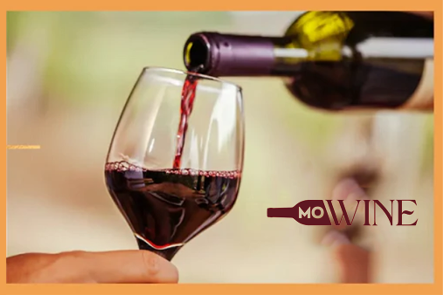 Buy Wine Online in Singapore | Premium Wines | Enjoy Mo Wine – MOWINE